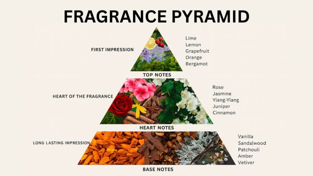 Memahami Struktur Aroma Parfum Melalui Digram Fragrance – CV. Laris ...